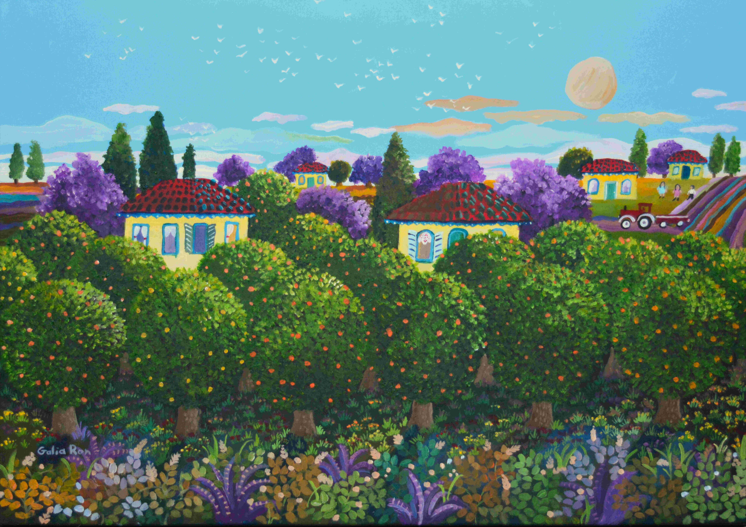 Orange grove 🍊 - Artists of the Galilee